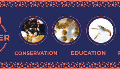 Introducing... Overlay Plus | Polypipe